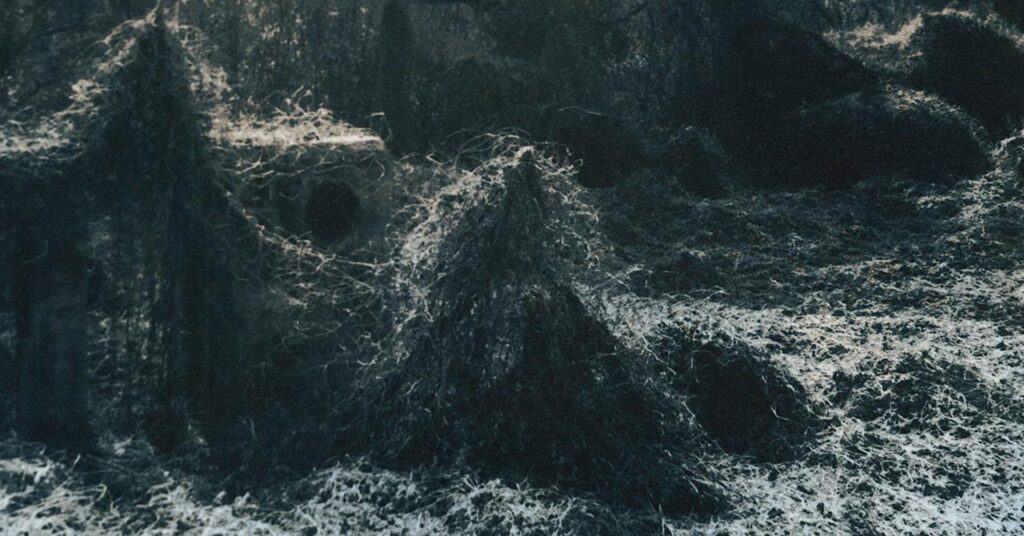 Como o R.E.M. saiu de Athens para o mundo com “Murmur”